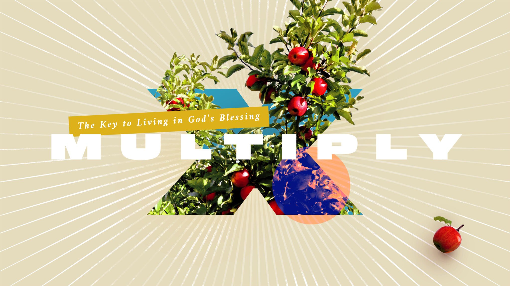 Multiply: The Key To Living In God's Blessing — Part 8 — Redefine ...